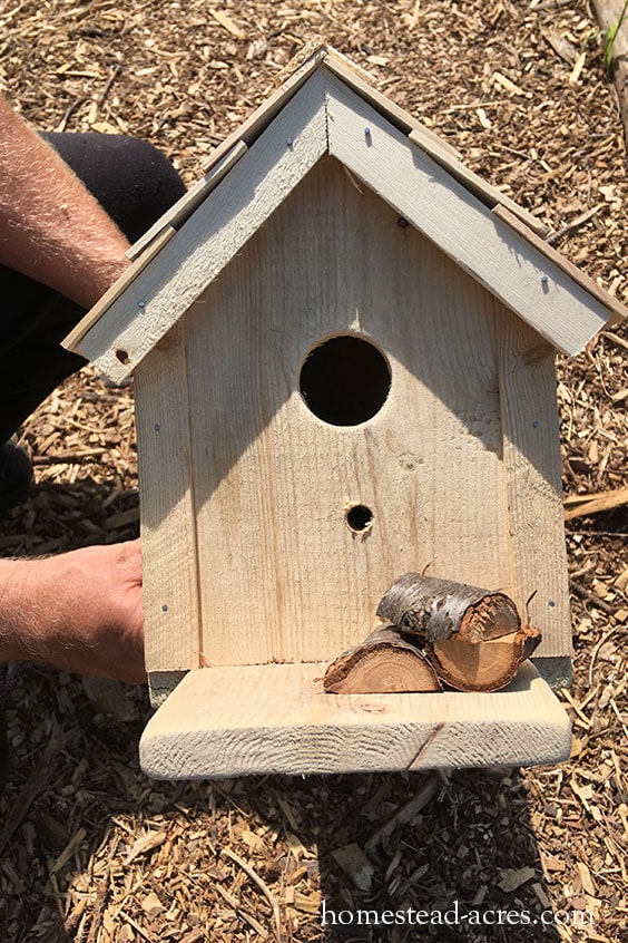 Birdhouse Planter: Easy DIY Planter Box - Homestead Acres