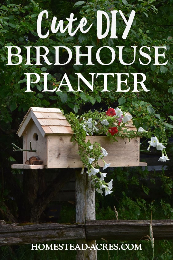 Birdhouse Planter: Easy DIY Planter Box - Homestead Acres