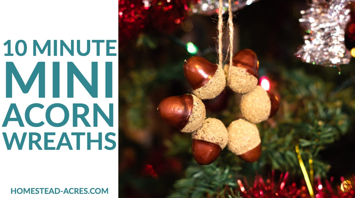 How To Make Mini Acorn Wreath Ornaments - Homestead Acres