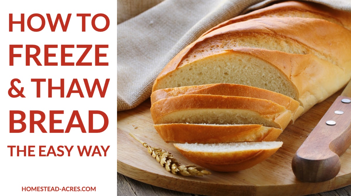 How To Freeze Bread And Thaw It To Keep It Fresh Homestead Acres
